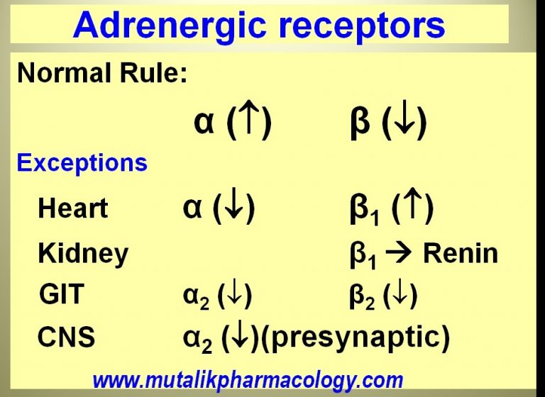 Adrenergic Agonists | Mutalik Pharmacology