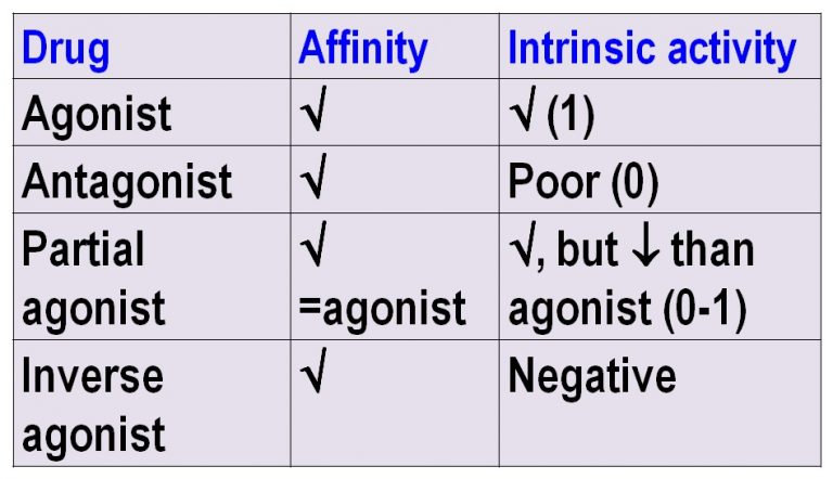Pharmacodynamics | Mutalik Pharmacology