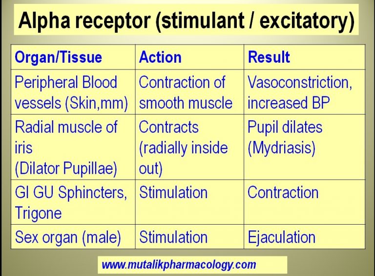 Adrenergic Agonists | Mutalik Pharmacology