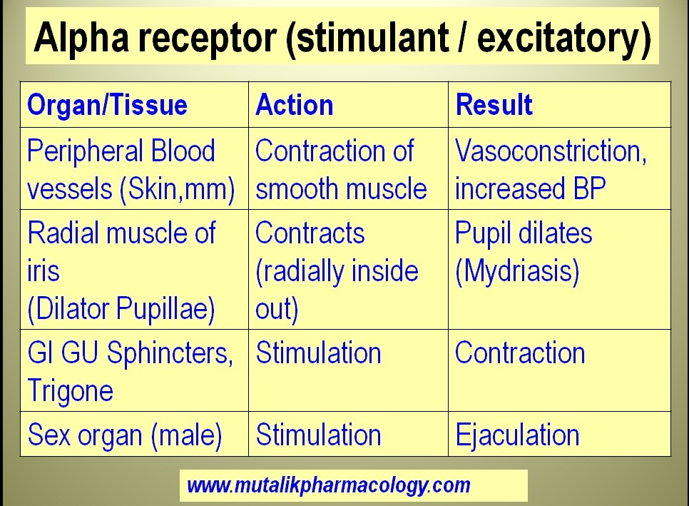 Adrenergic Agonists Mutalik Pharmacology Adrenergic Agonists Mutalik Pharmacology