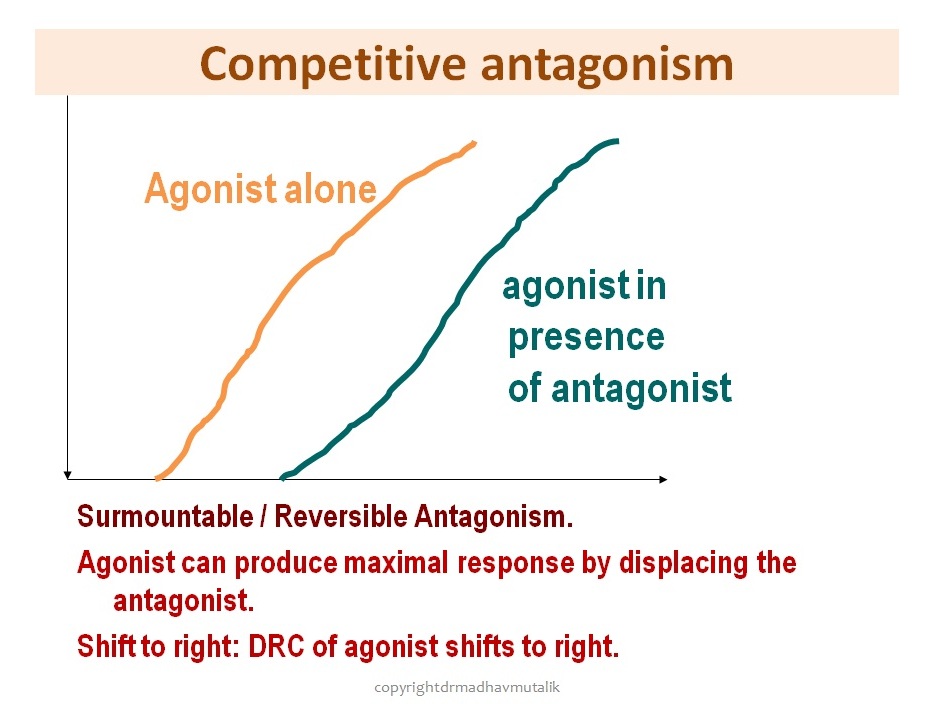 Pharmacodynamics | Mutalik Pharmacology