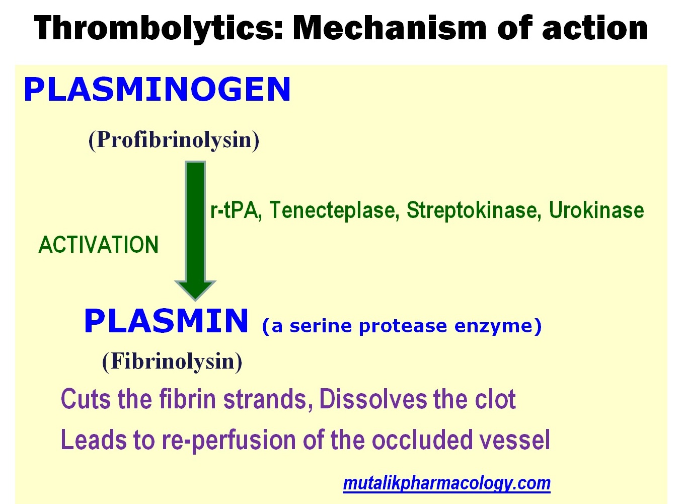 Thrombolytic (Fibrinolytic) Agents | Mutalik Pharmacology
